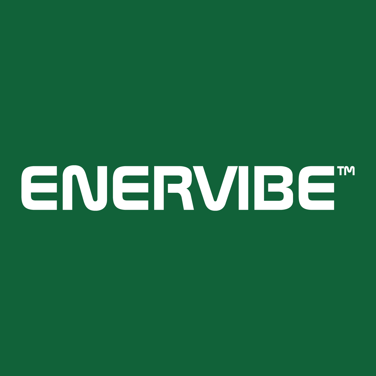 에너바이브 ENERVIBE