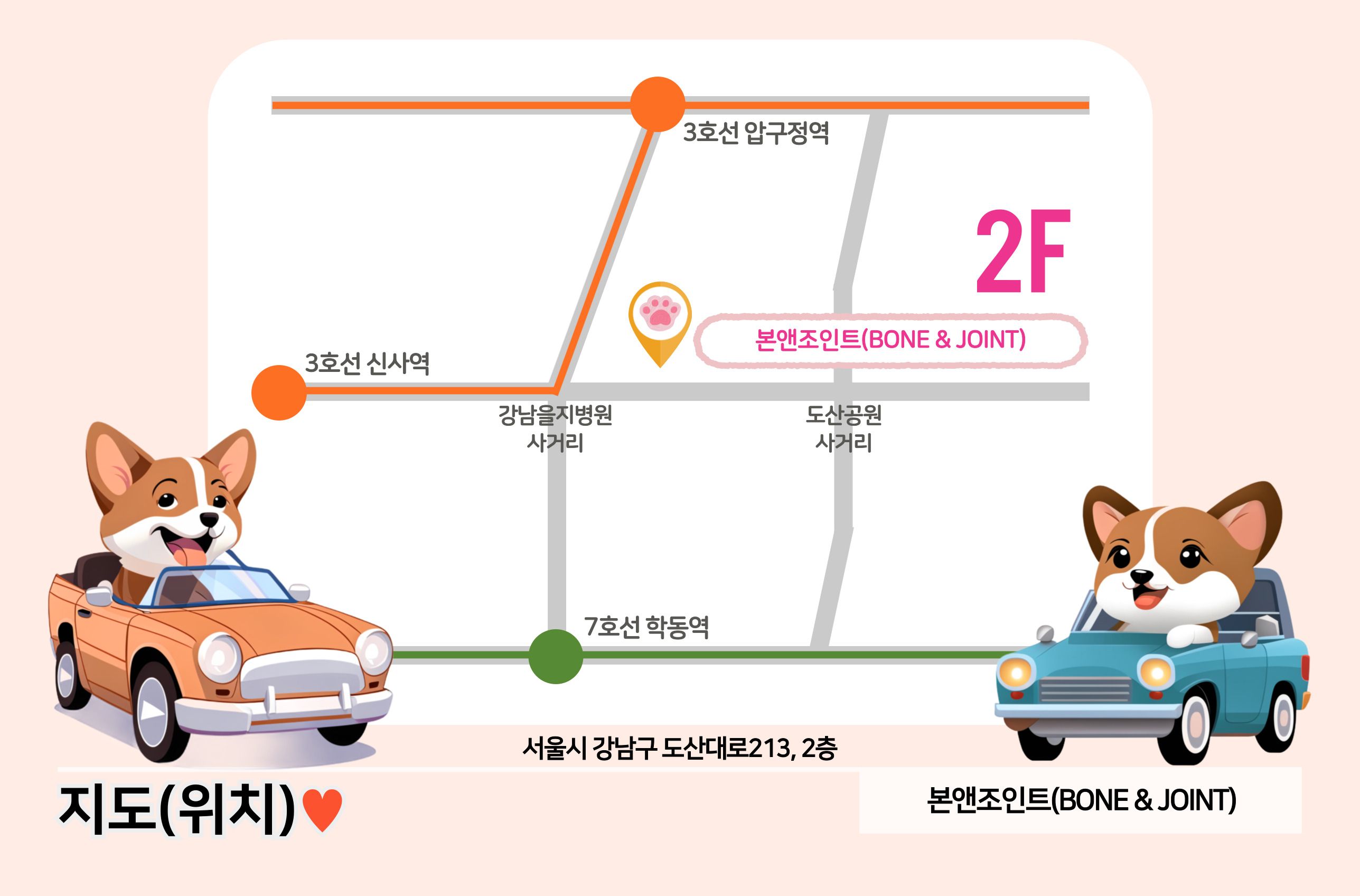 본앤조인트(BONE & JOINT)