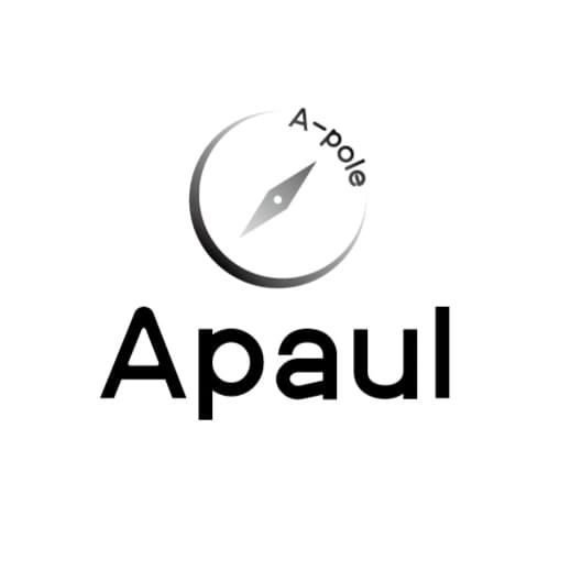 Apaul 브랜딩 바이럴 마케팅의 시작
