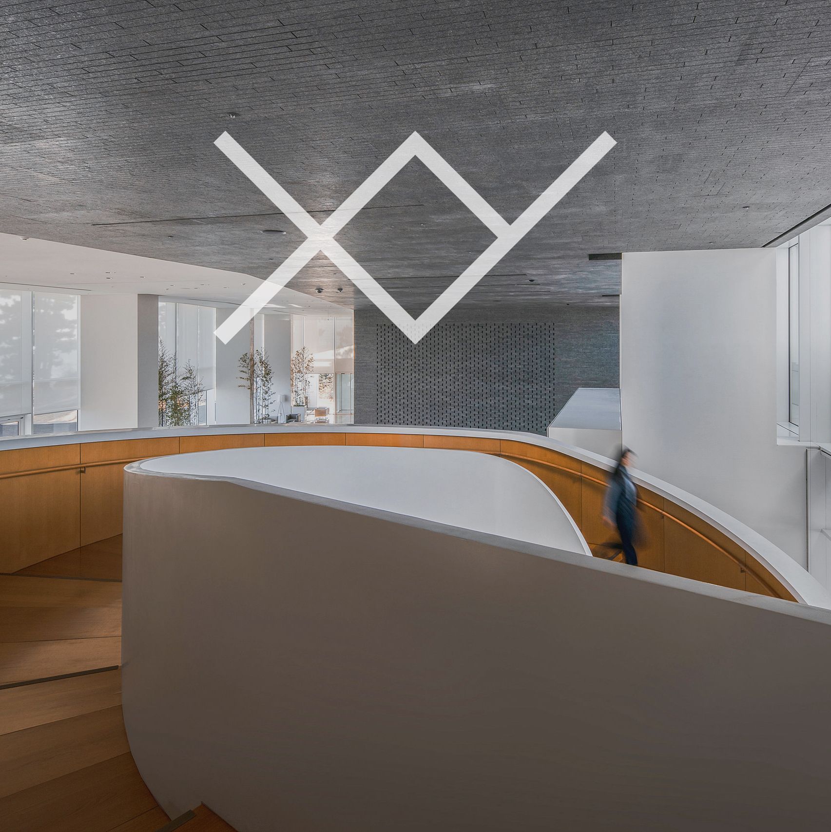 XY Inc.