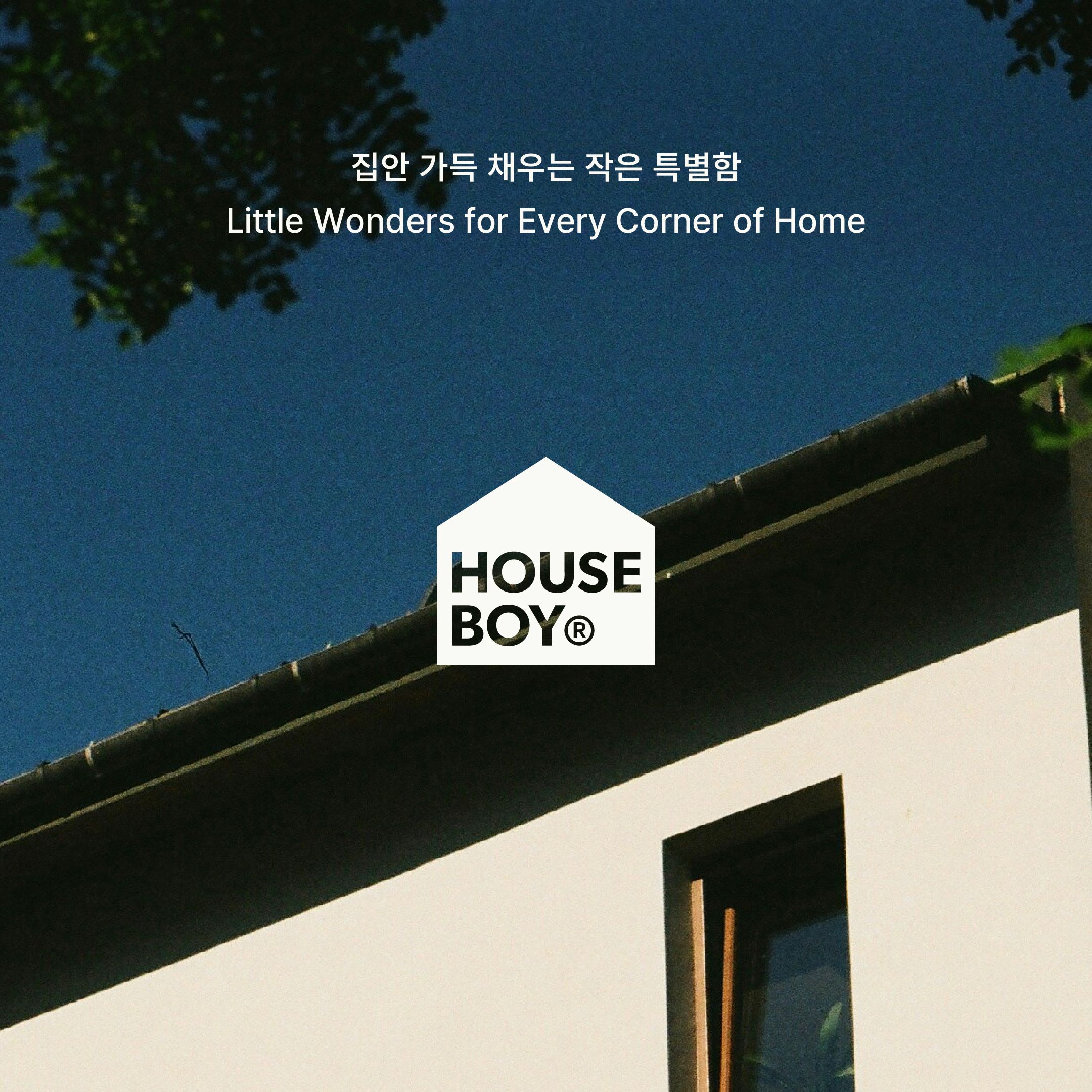 houseboy