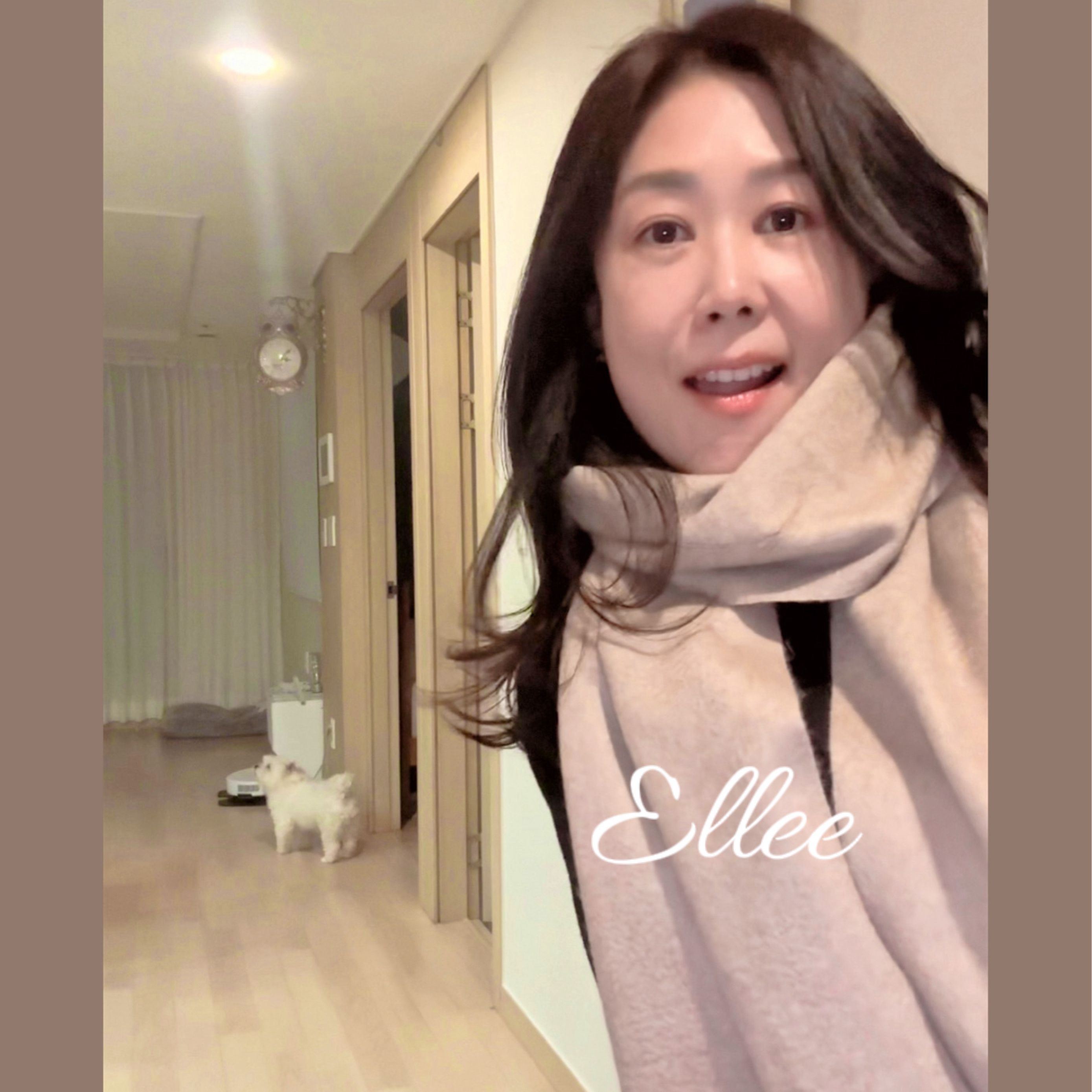 스타일 엘리