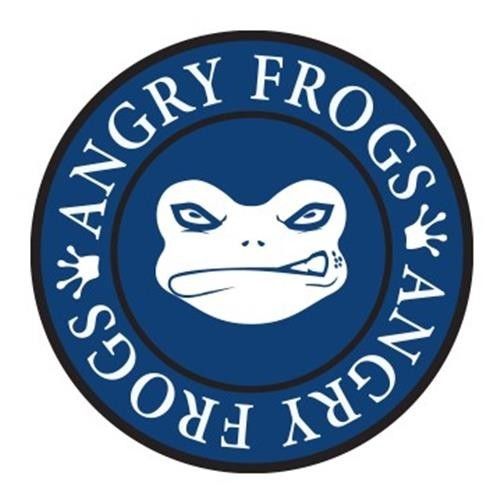 Team. Angry Frogs 대표