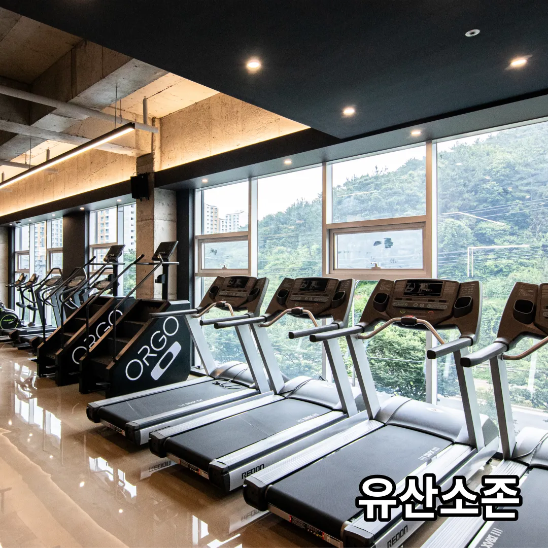 🔥다이나짐(Dyna Gym)🔥