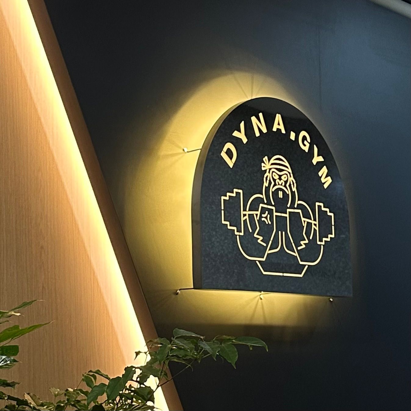 🔥다이나짐(Dyna Gym)🔥