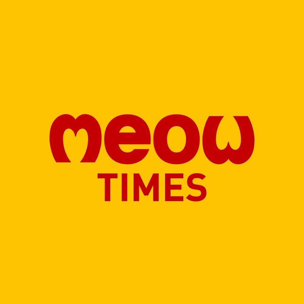미우타임즈 MEOWTIMES