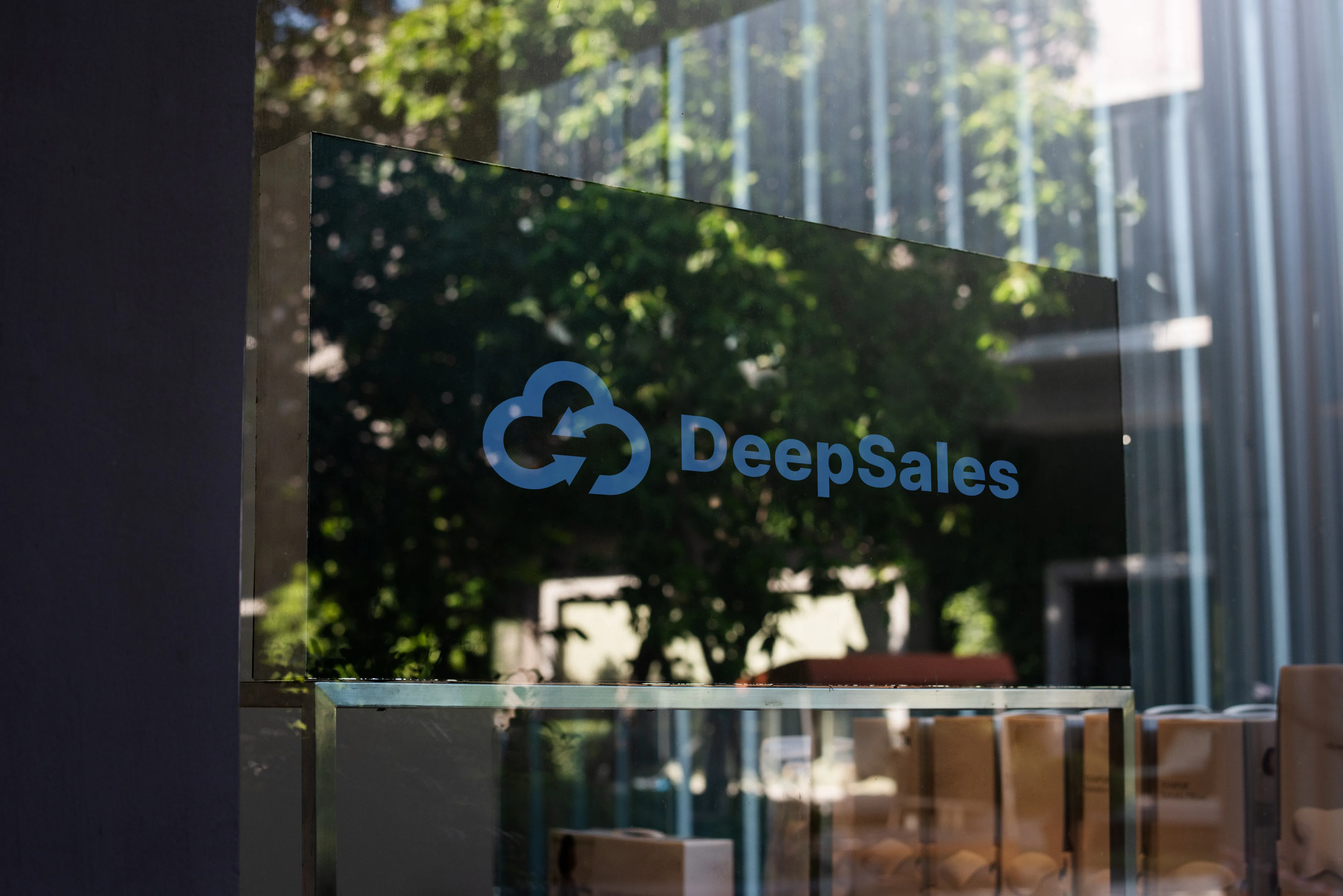 DeepSales brand guide