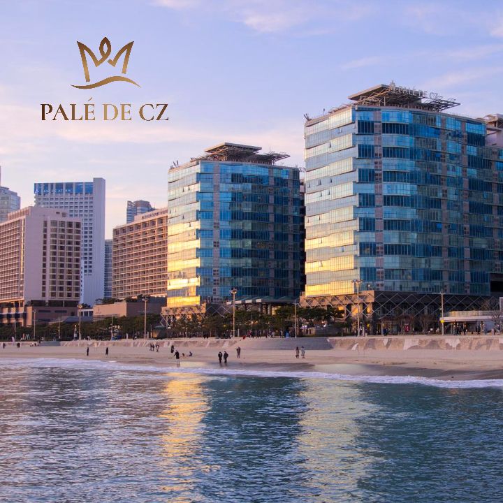 팔레드시즈 콘도