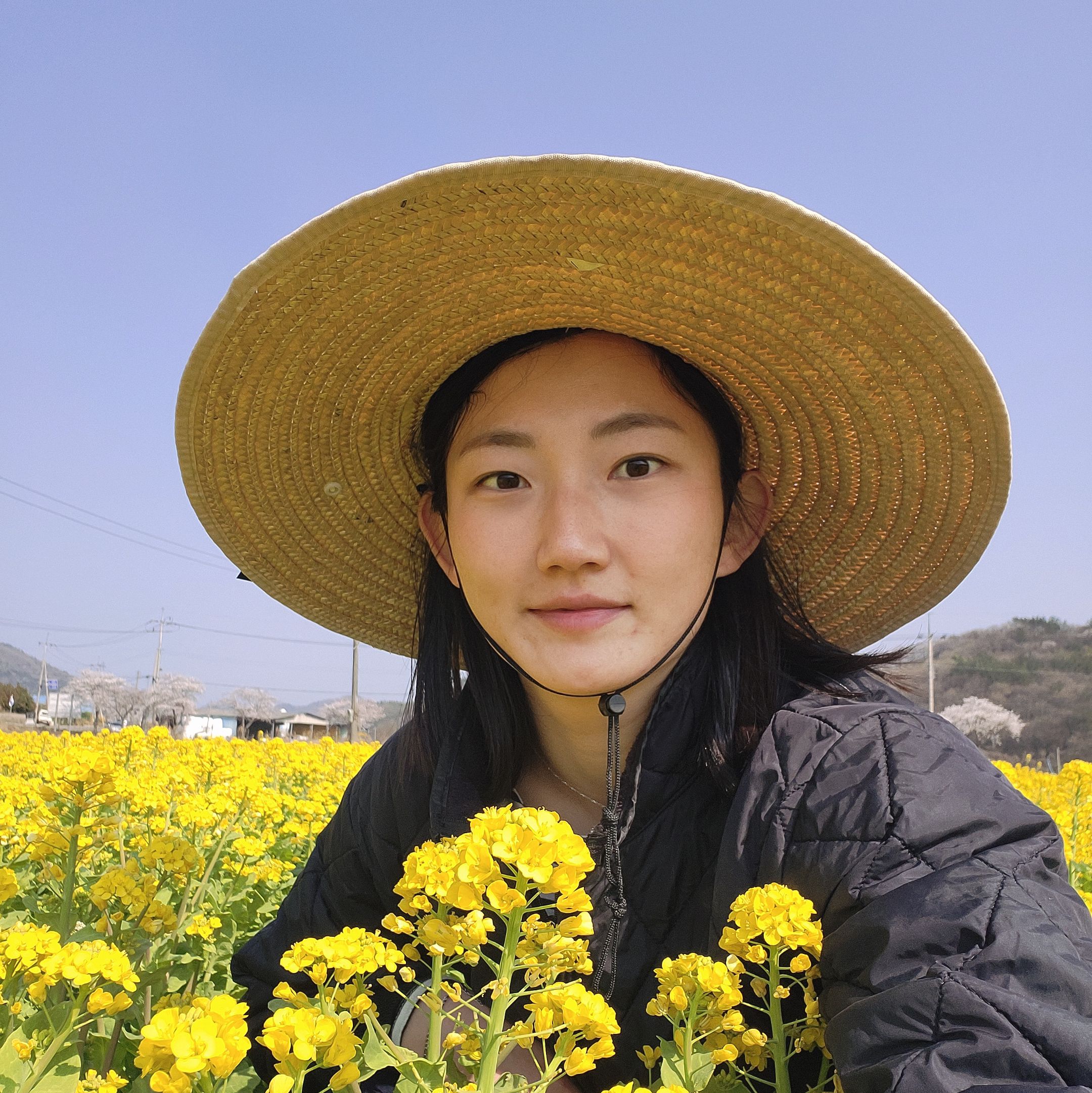 곽그루 / 진도그루브