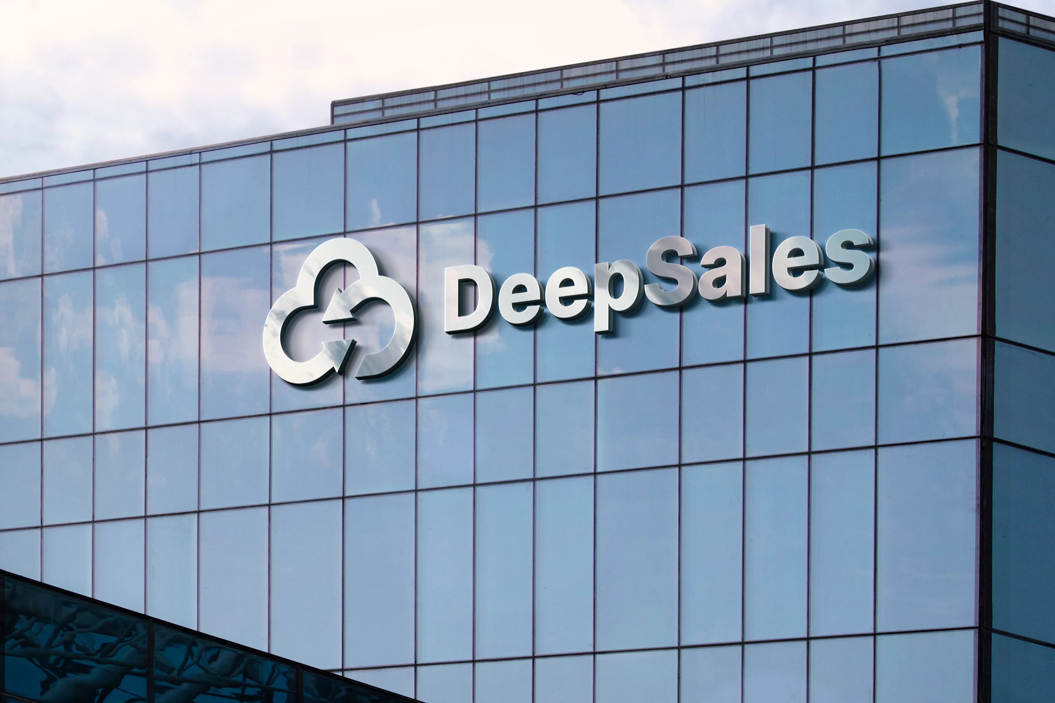 DeepSales brand guide