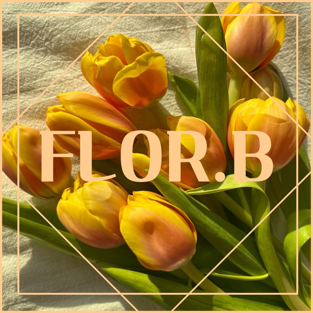 플로르비 FLOR.B