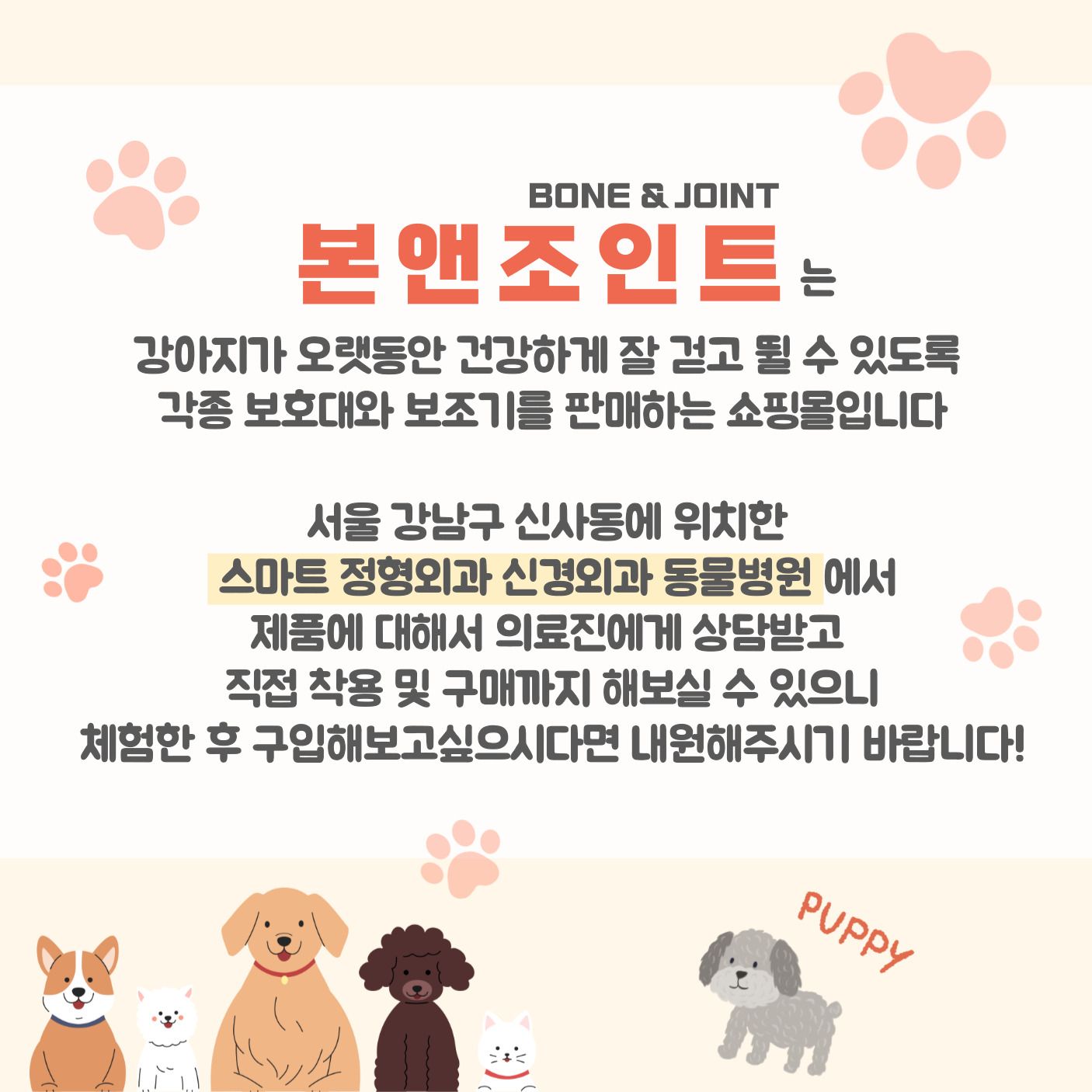 본앤조인트(BONE & JOINT)