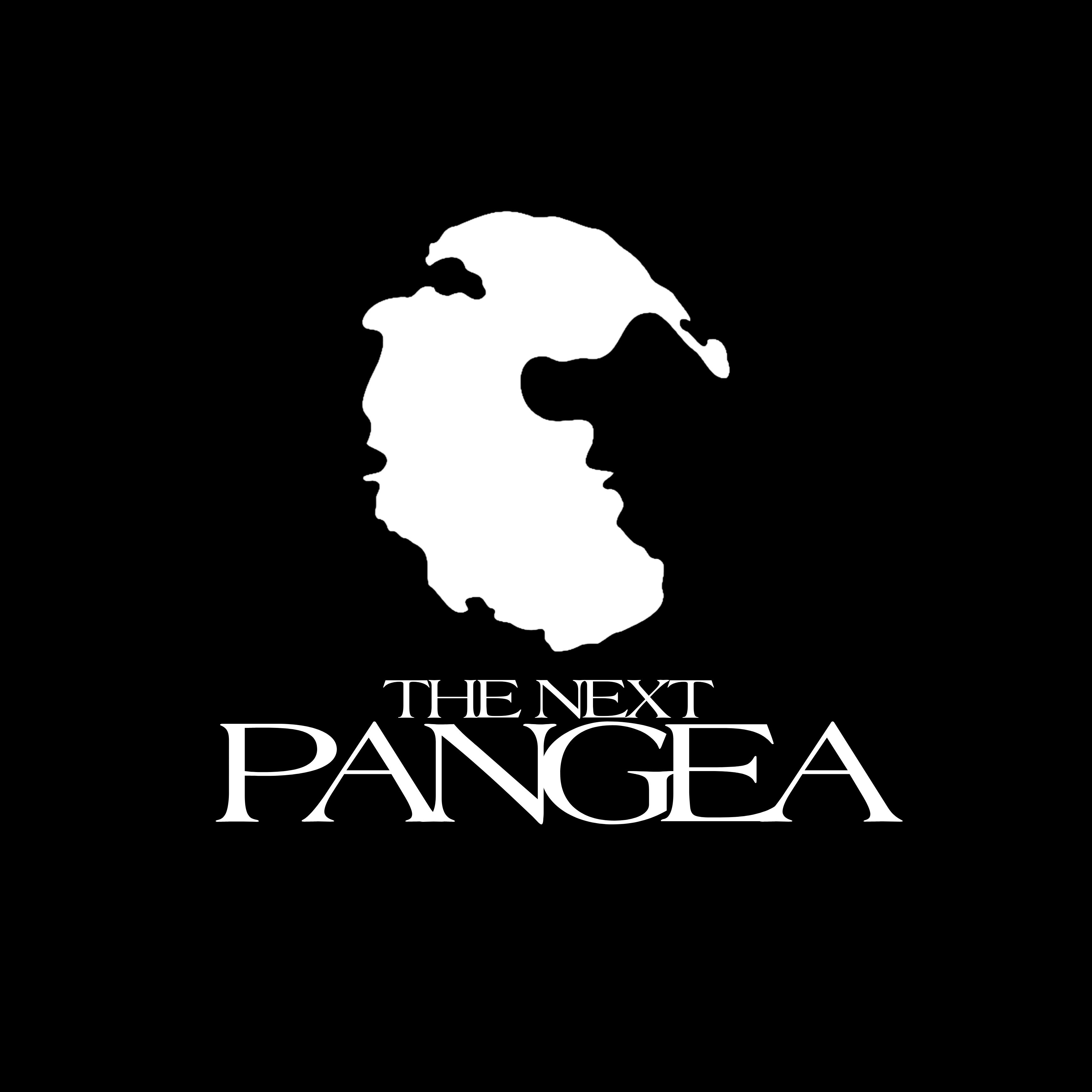 The Next Pangea